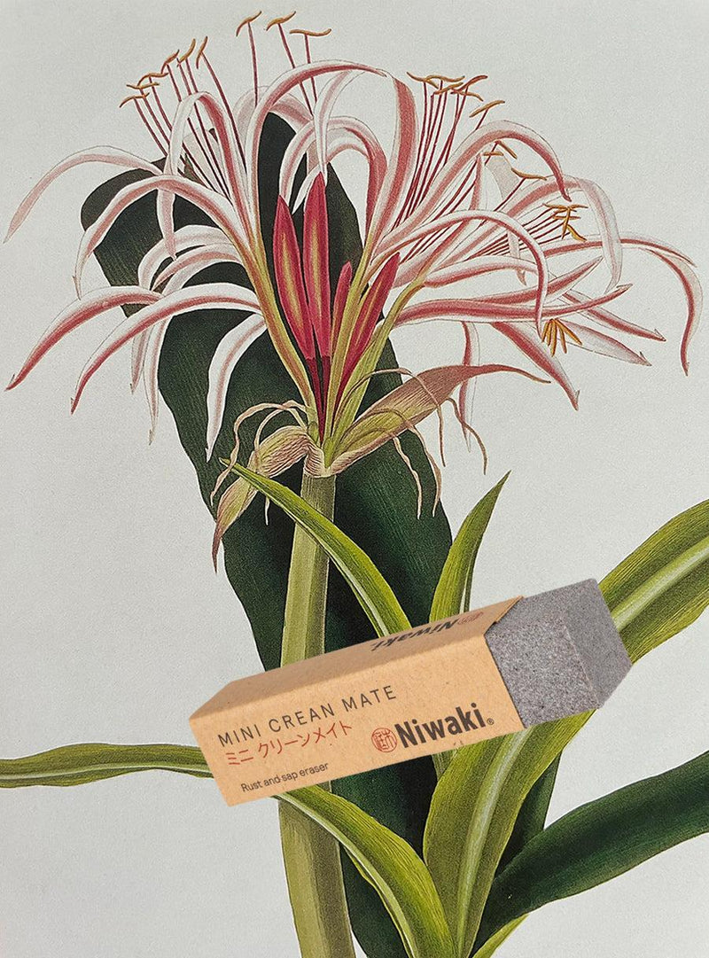 Sécateurs japonais en acier forgé - Jardiniste